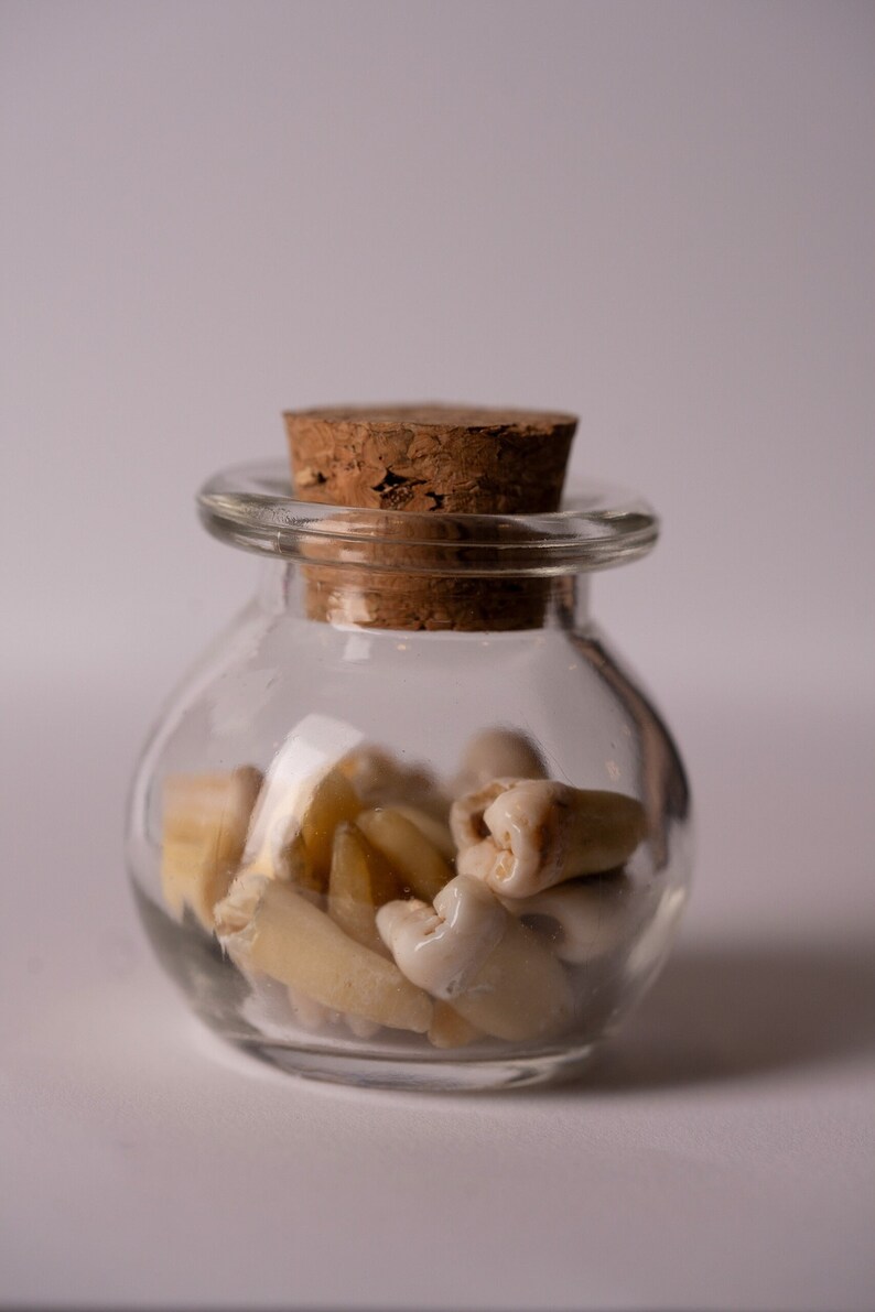Human Teeth in Glass Jar - Etsy