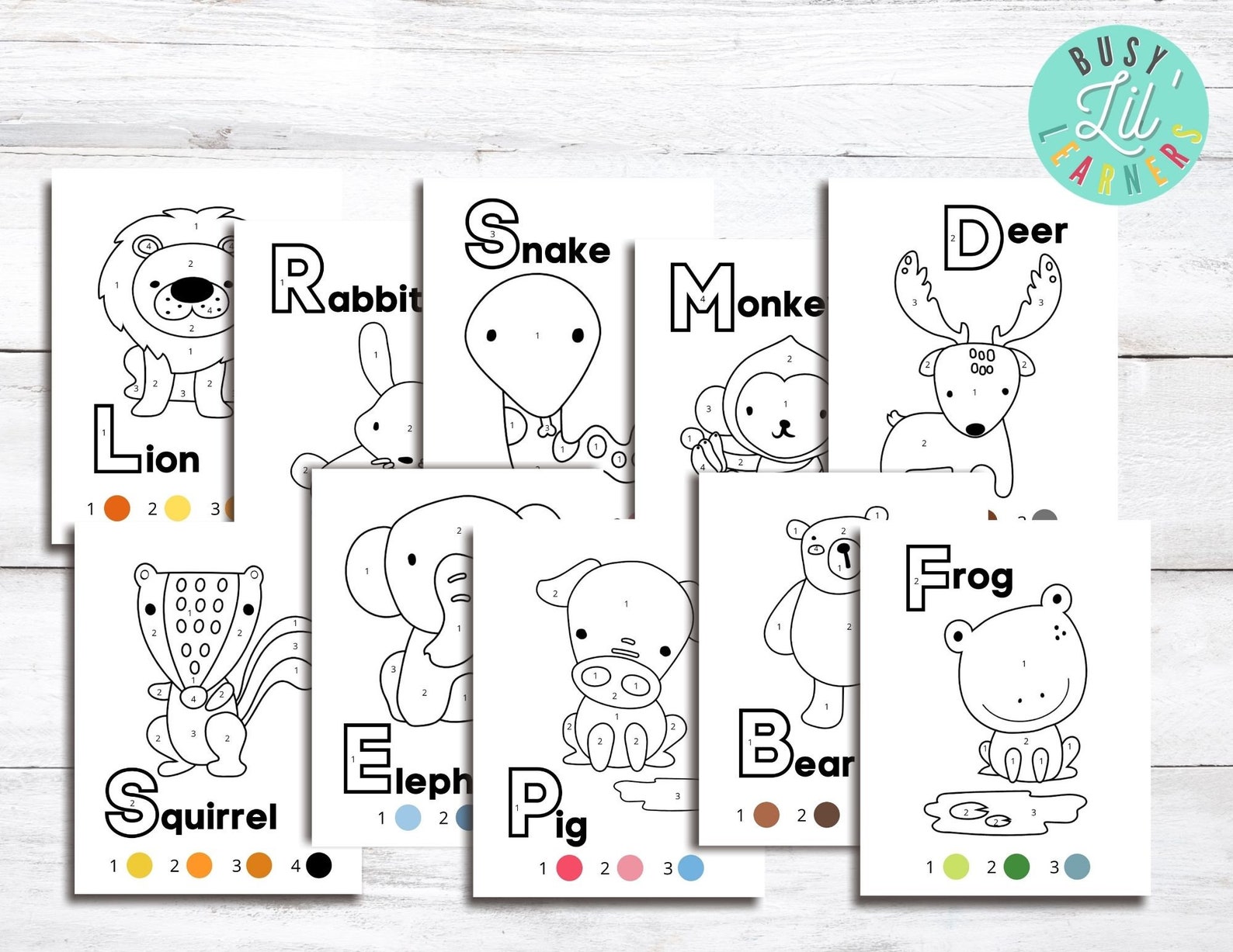 Animal Coloring by Number Pages Animal Printable Animal - Etsy 日本