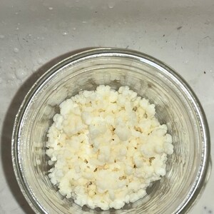Organic Milk Kefir Grains. Probiotic Active Cultures, Fermentation ...