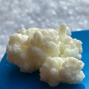 Kefir Organic Probiotic Rich Symbiotic Culture Bacteria Yeast Grains ...