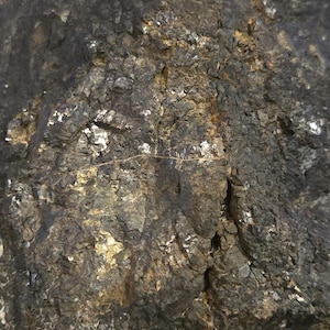 SUPER HIGH GRADE Gold Ore, Heavy 22.2lbs Rare Mineral Specimen With ...