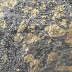 SUPER HIGH GRADE Gold Ore, Heavy 22.2lbs Rare Mineral Specimen With ...