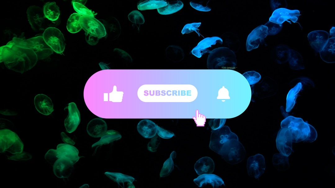 Gradient Color Youtube Subscribe Button, Animated Youtube Subscribe ...