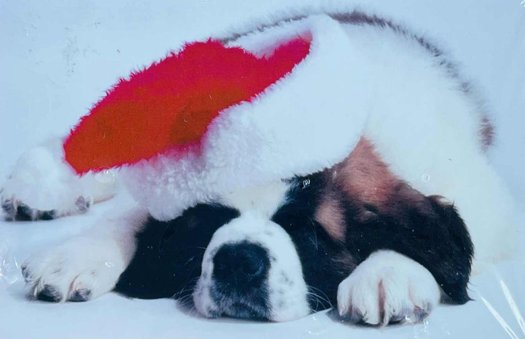 Vintage St. Bernard Christmas Cards, Carlton Cards, Set of 20 - Etsy
