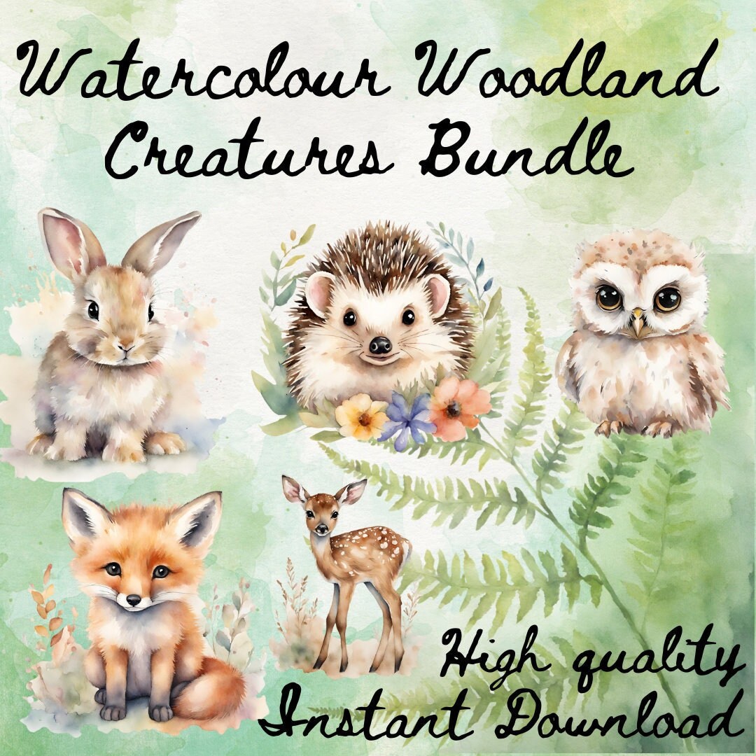 Watercolour Woodland Clipart Bundle - Beautiful Design. Cute Animals ...