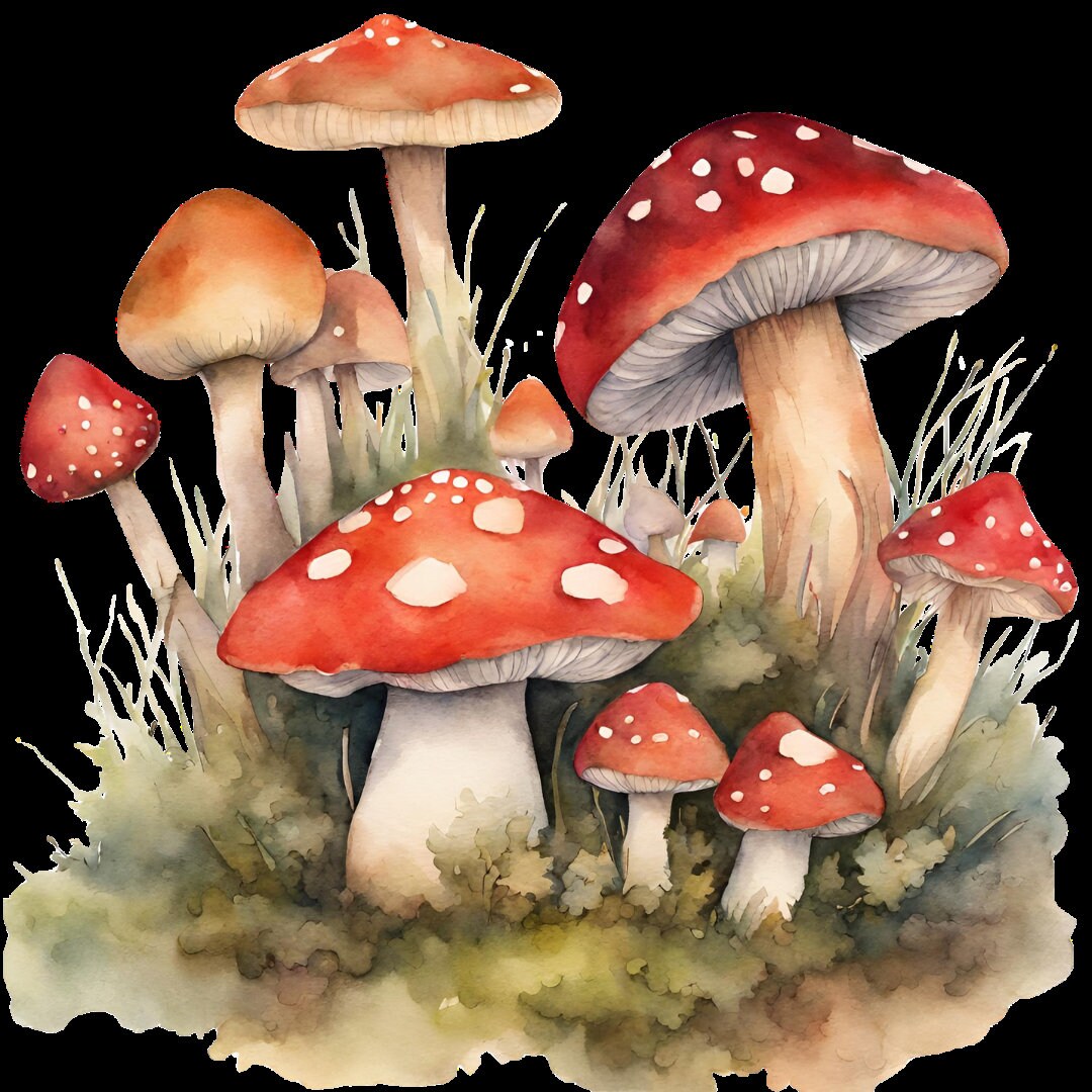 Watercolour Woodland Clipart Bundle - Beautiful Design. Cute Animals ...