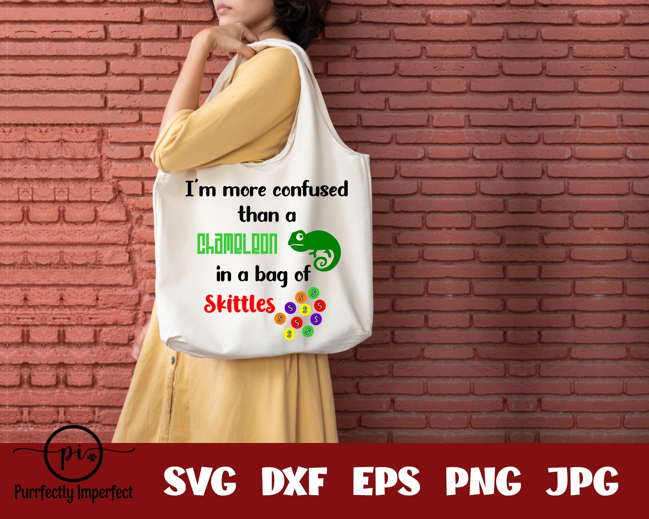 Chameleon Skittles / Confusion / Flustered / Humor / SVG / Sublimation ...