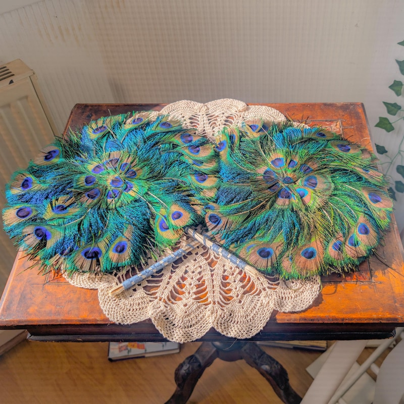 Peacock Feather Fan - Etsy