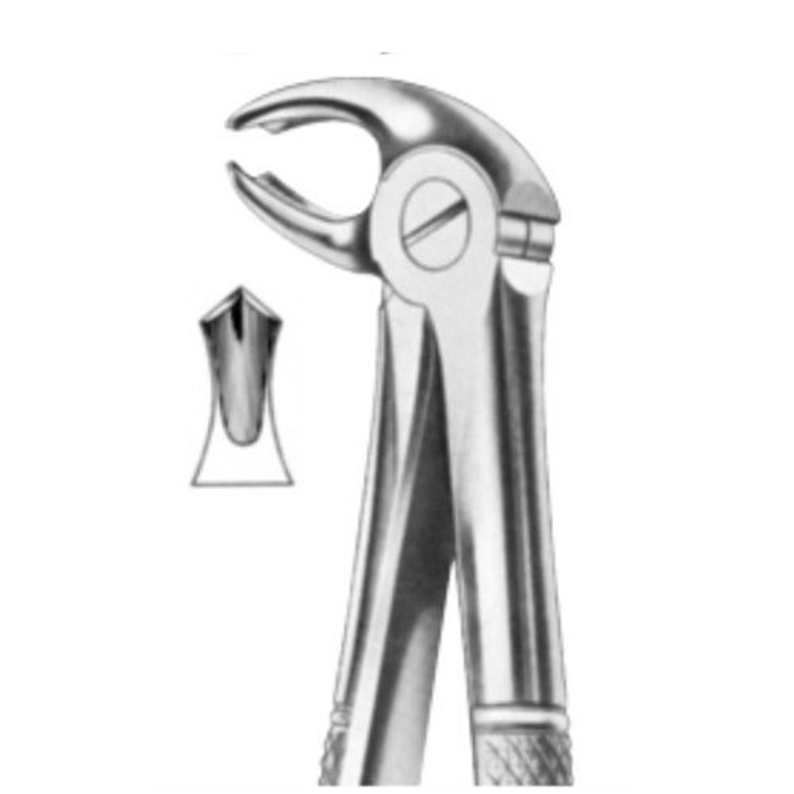 10 Piece Dental Tooth Extraction Forceps for Upper & Lower Molars Oral ...