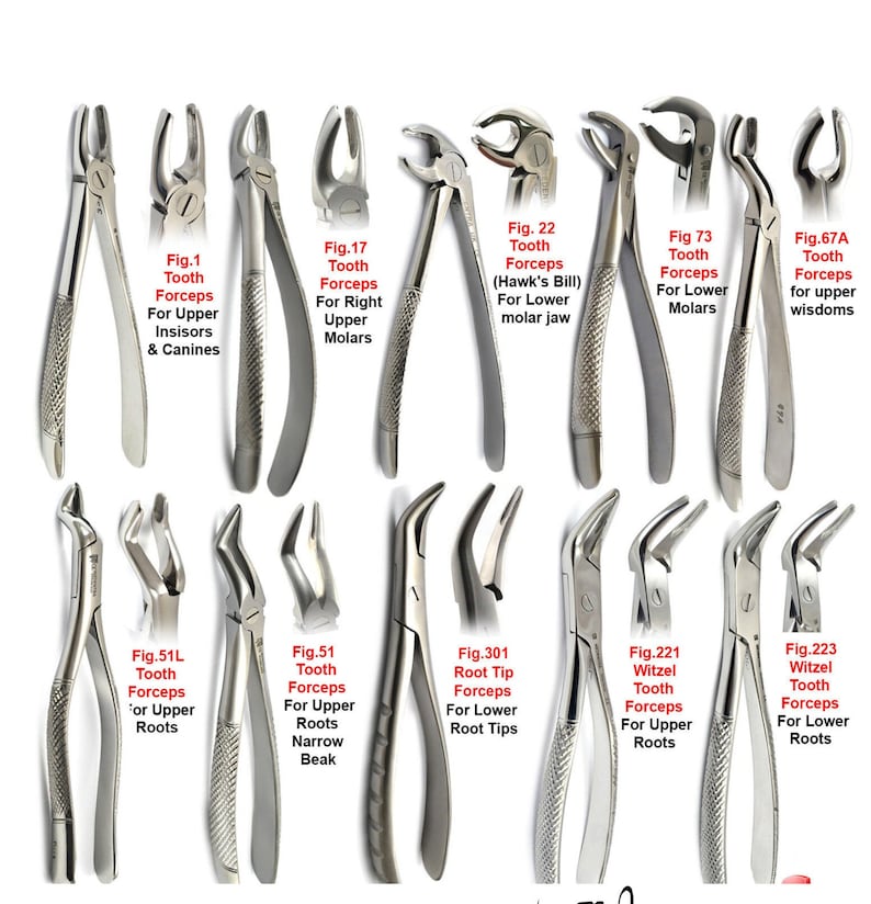 10 Piece Dental Tooth Extraction Forceps for Upper & Lower Molars Oral ...