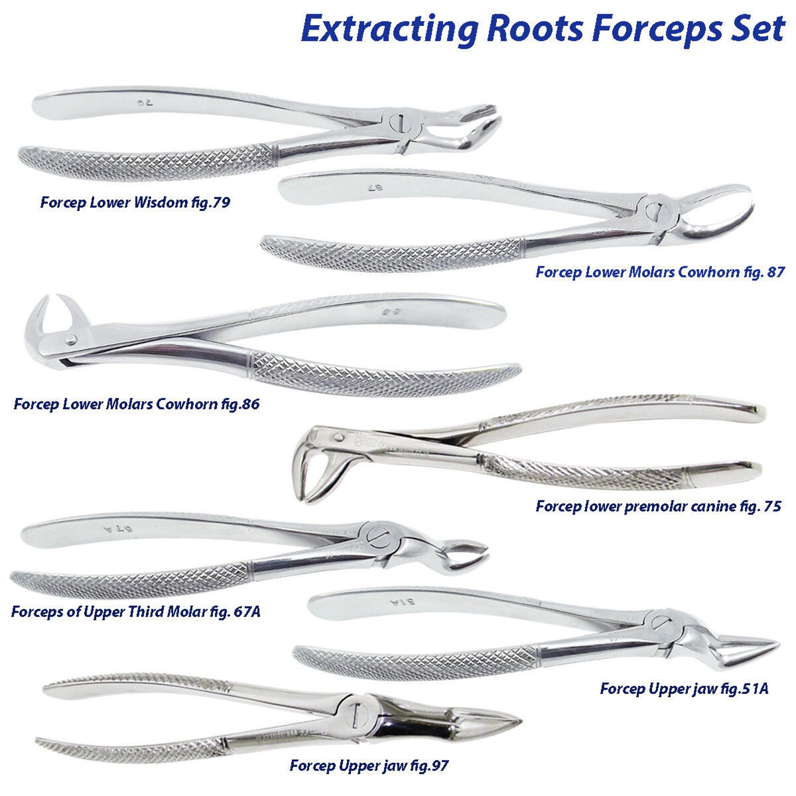 10 Piece Dental Tooth Extraction Forceps for Upper & Lower Molars Oral ...