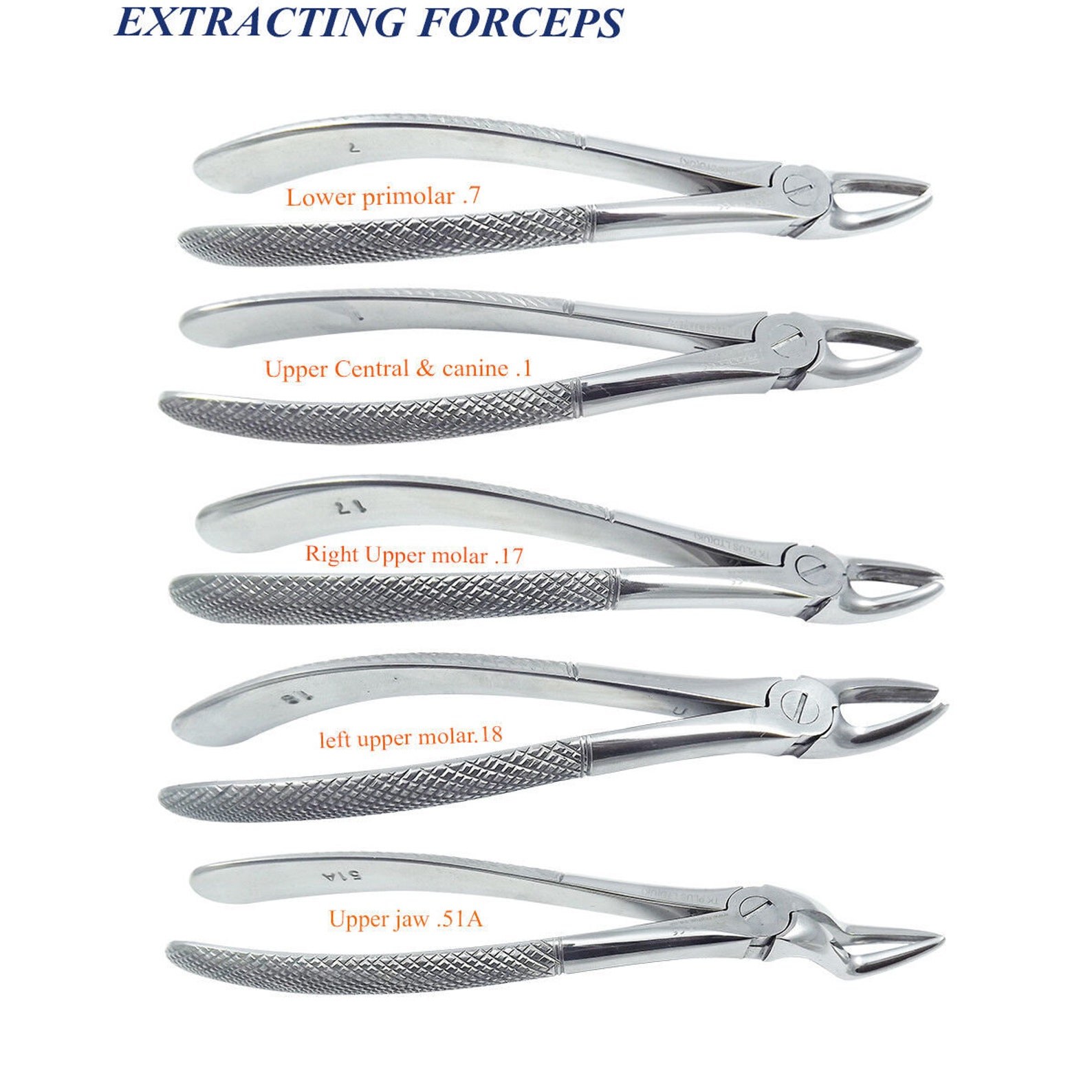 10 Piece Dental Tooth Extraction Forceps for Upper & Lower Molars Oral ...