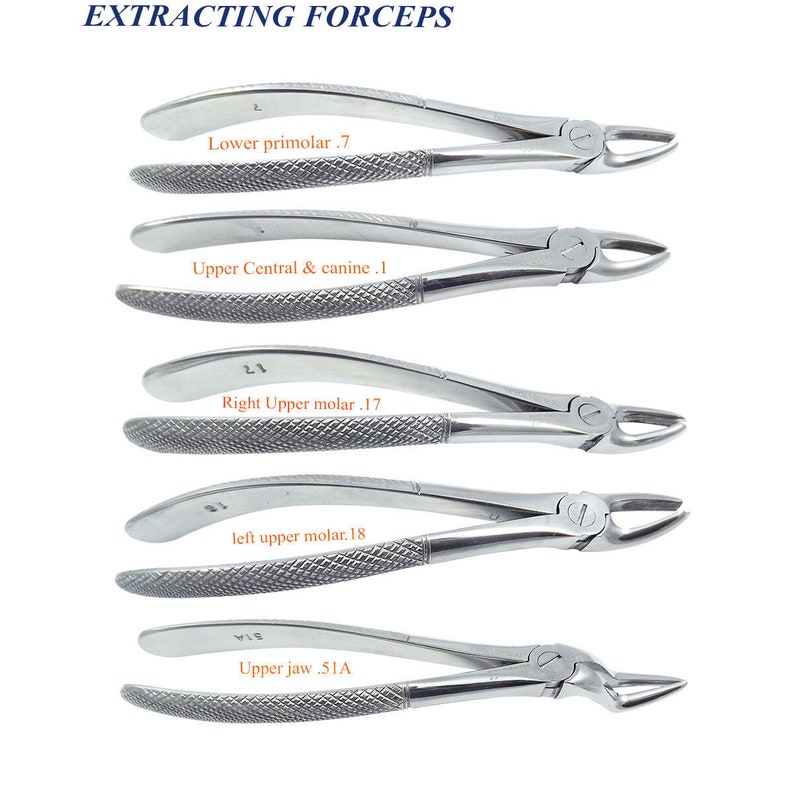 10 Piece Dental Tooth Extraction Forceps for Upper & Lower Molars Oral ...