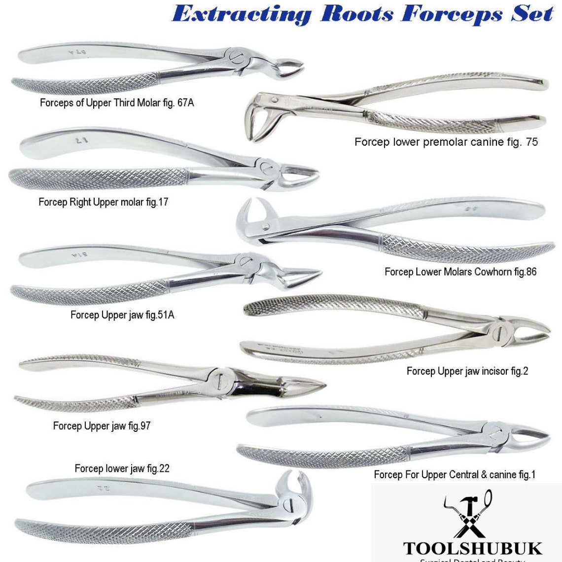 10 Piece Dental Tooth Extraction Forceps for Upper & Lower Molars Oral ...