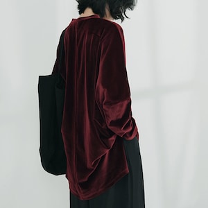 Fall Winter Velvet Top, Women Tunic Tops, Women Blouses, Long Sleeves ...
