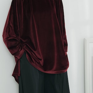 Fall Winter Velvet Top, Women Tunic Tops, Women Blouses, Long Sleeves ...