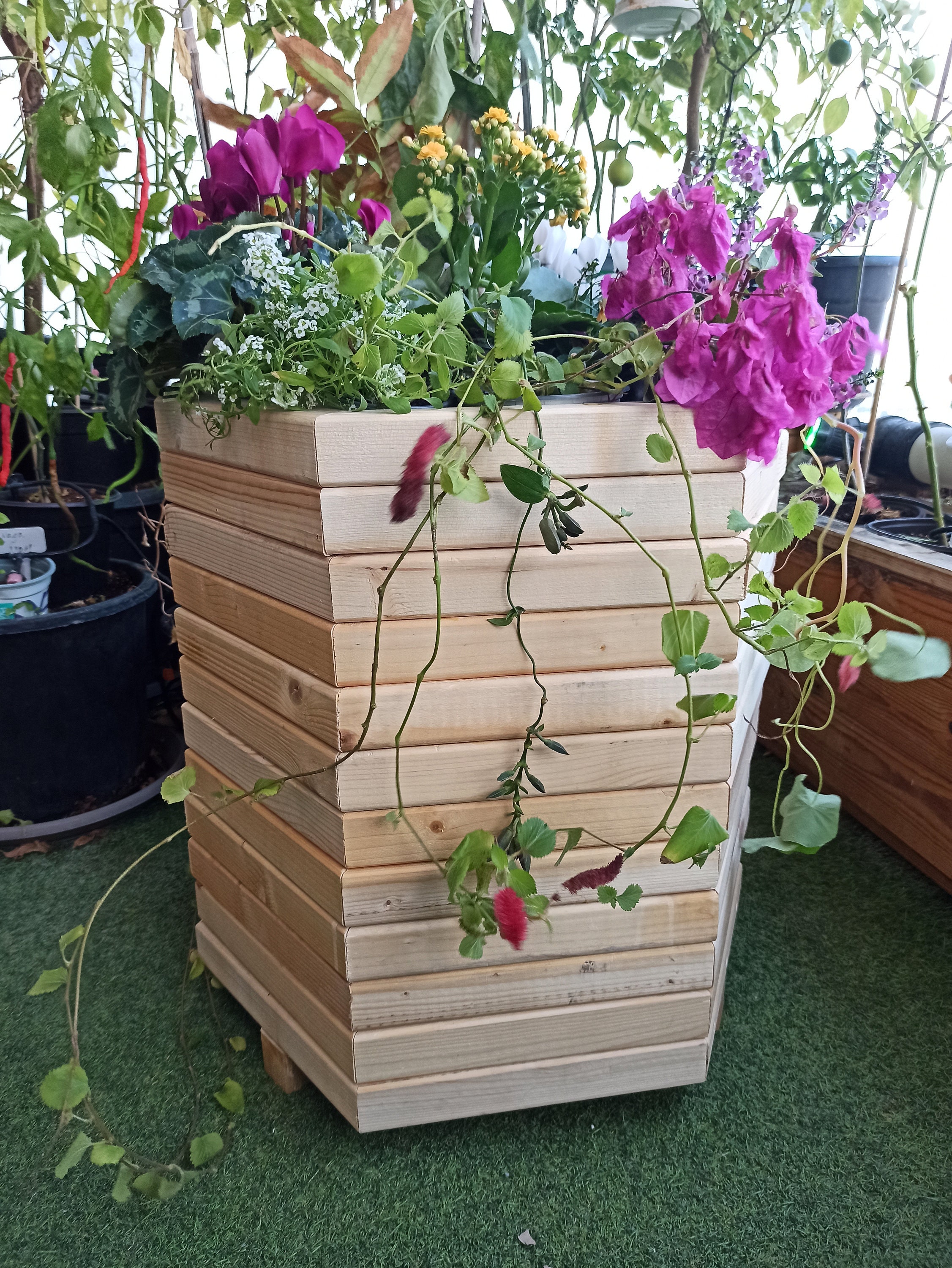 Wooden Hexagonal Planter Plan. Planter Plan for Home and Garden.cedar ...