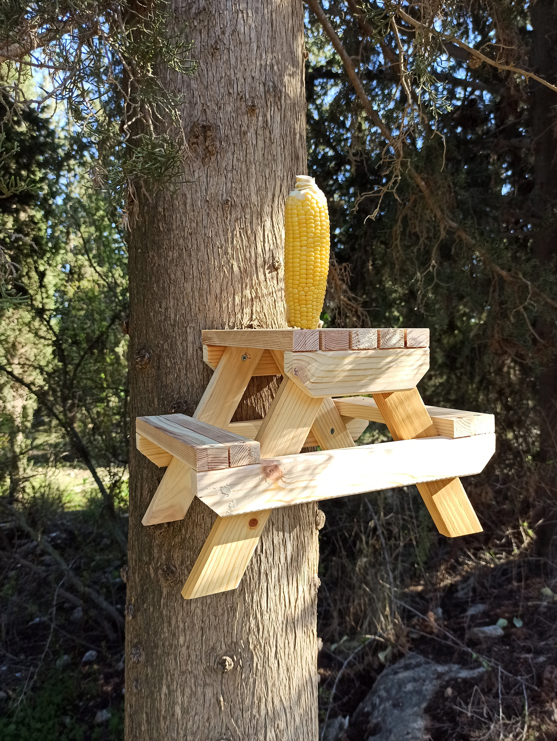 Squirrel Picnic Table Feeder, Squirrel Table, Pet Feeder, DIY Squirrel ...