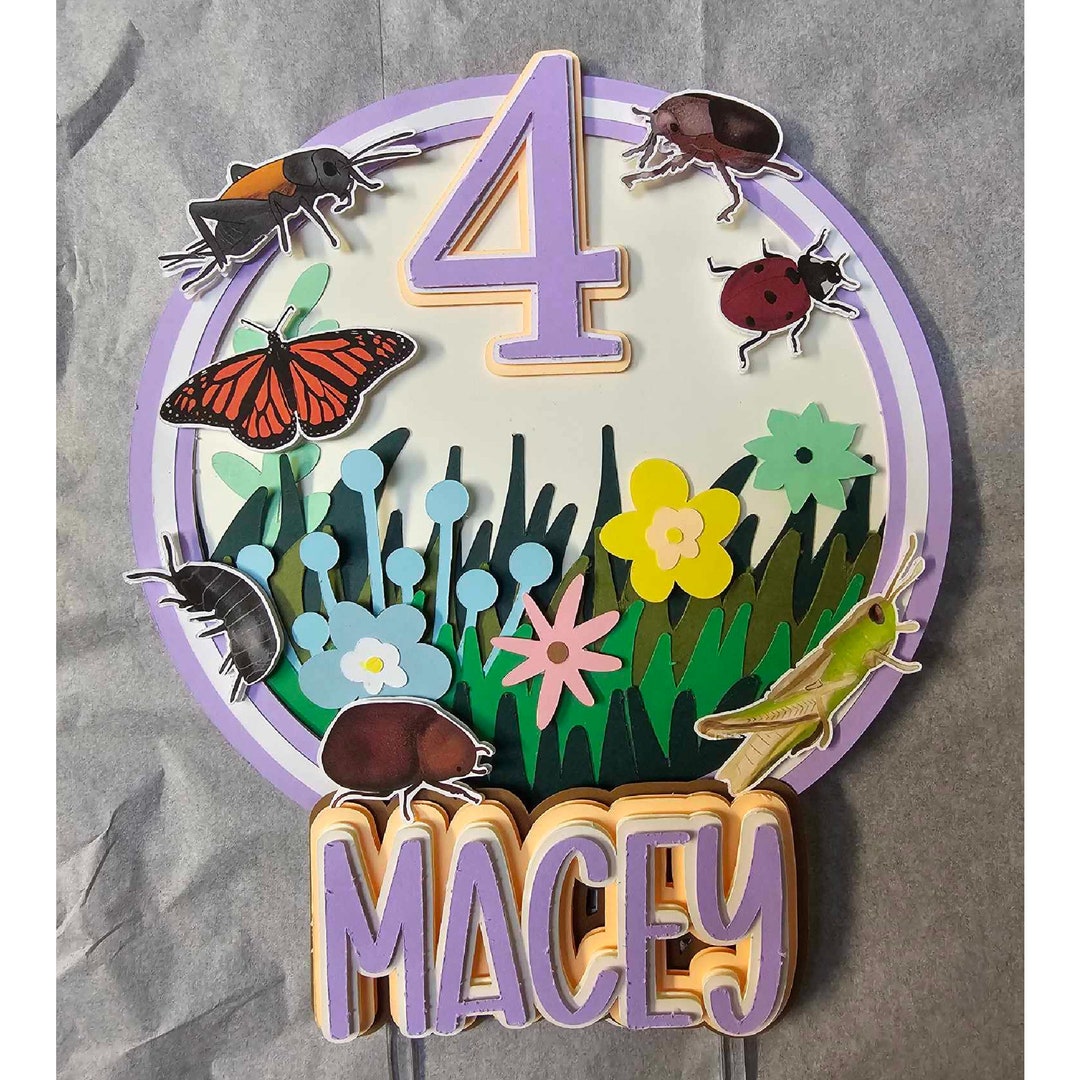 Bug Birthday Insect Theme Cake Topper Insect Topper Bugging Out ...