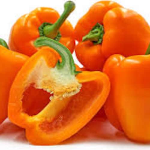 USA SELLER Bright Orange Bell Sweet Pepper 25 Seeds HEIRLOOM - Etsy