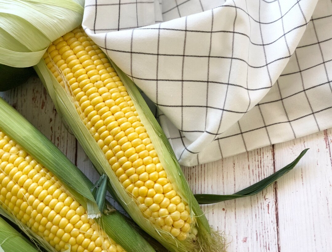 USA SELLER Kandy Korn Corn 25 Seeds Hybrid(zea Mays) - Etsy