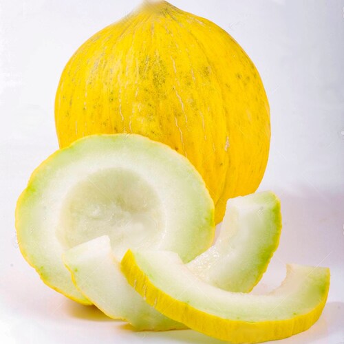 USA SELLER Haogen Melon 25 Seeds Heirloomcucumis Melo - Etsy