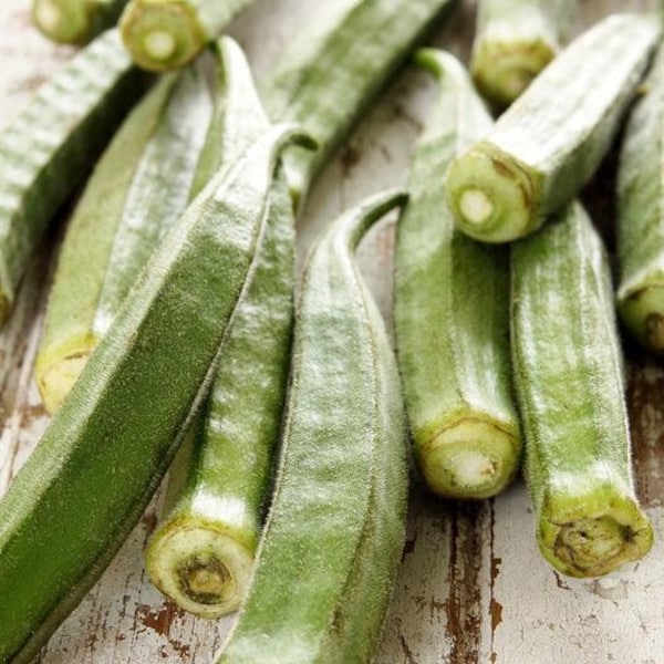 USA SELLER Jing Orange Okra 50 Seeds HEIRLOOM abelmoschus Esculentus - Etsy