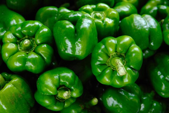 USA SELLER Emerald Giant Sweet Bell Pepper 25 Seeds HEIRLOOM - Etsy