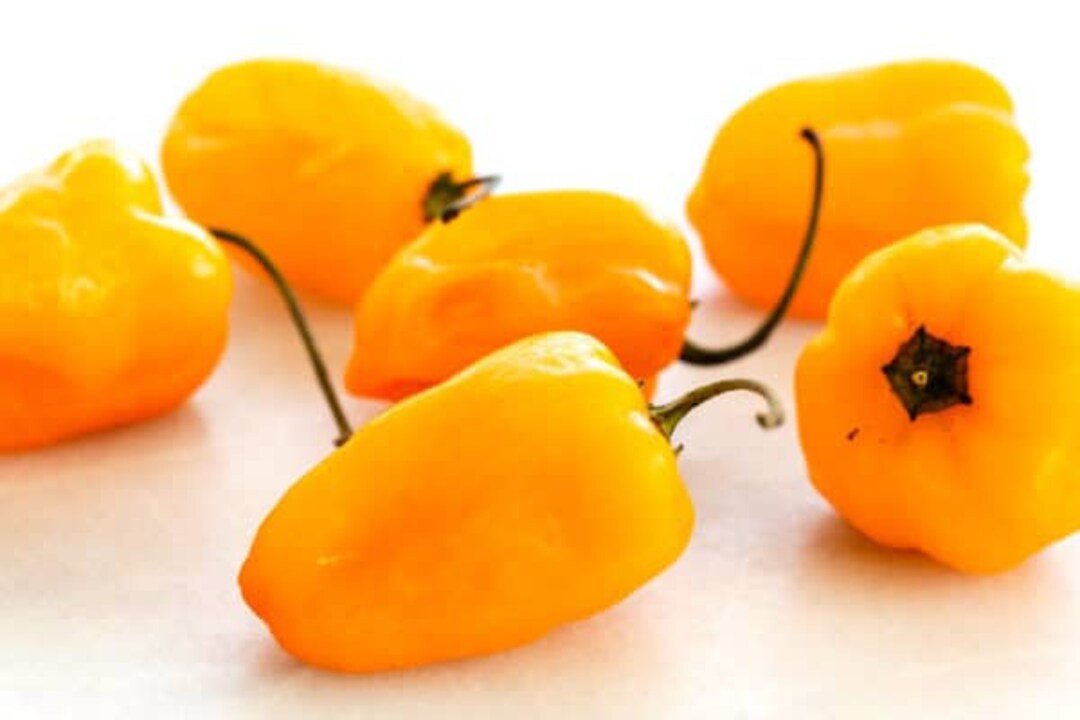USA SELLER Hot Yellow Cherry Pepper 25 Seeds HEIRLOOM (capsicum ...