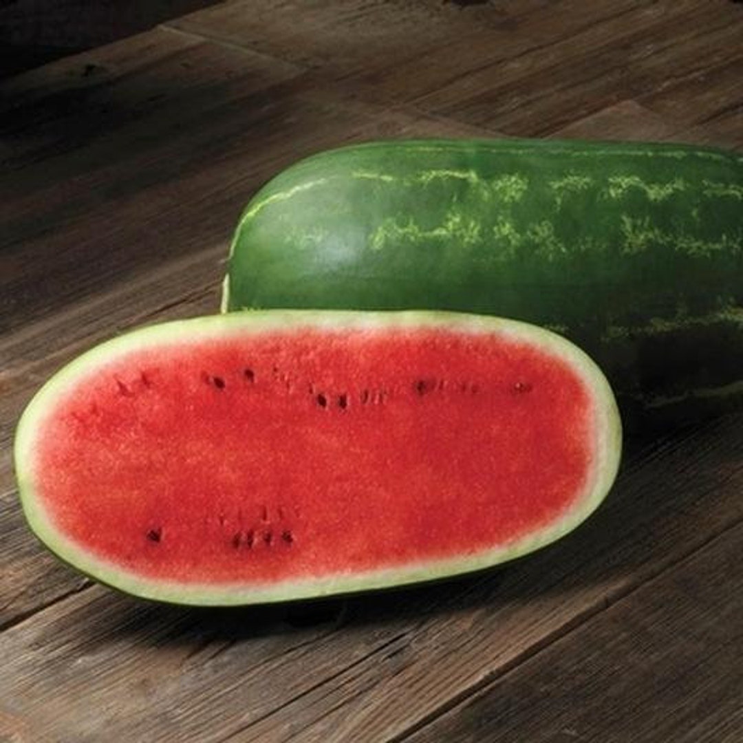 USA SELLER Cal Sweet Watermelon 25 Seeds HEIRLOOM (citrullus Lanatus ...