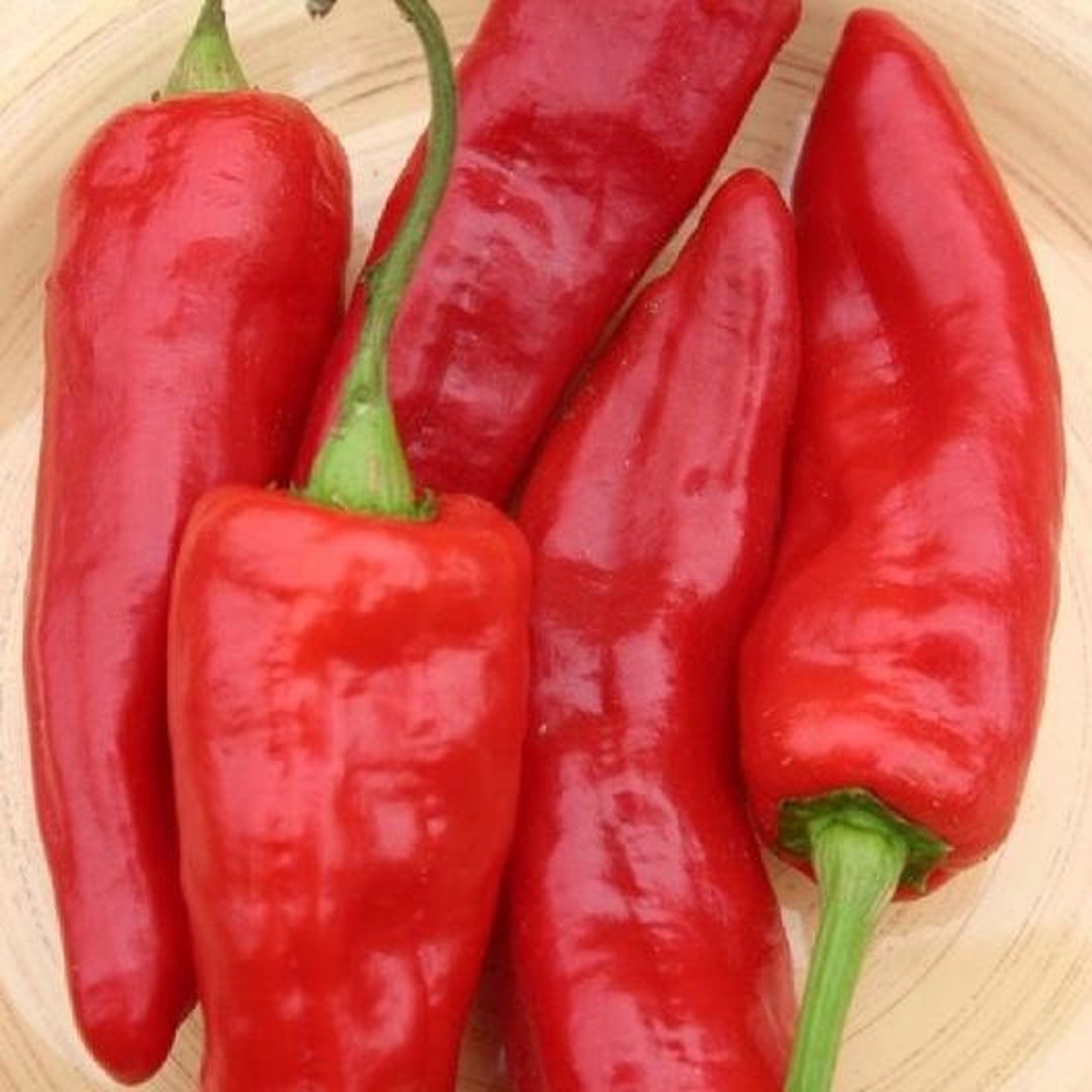 USA SELLER Marconi Red Sweet Pepper 25 Seeds HEIRLOOM - Etsy