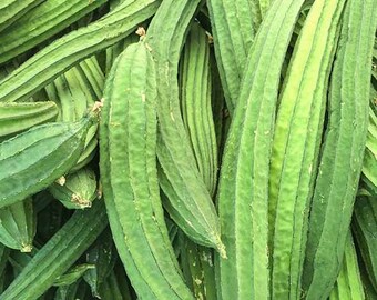 Chinese Okra Seeds - Etsy