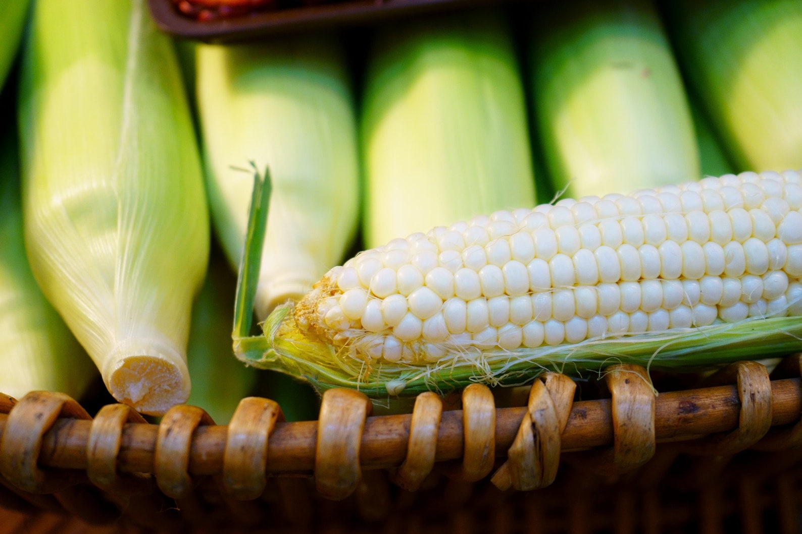 USA SELLER How Sweet It is White Sweet Corn - 25 Heirloom Seeds (zea ...