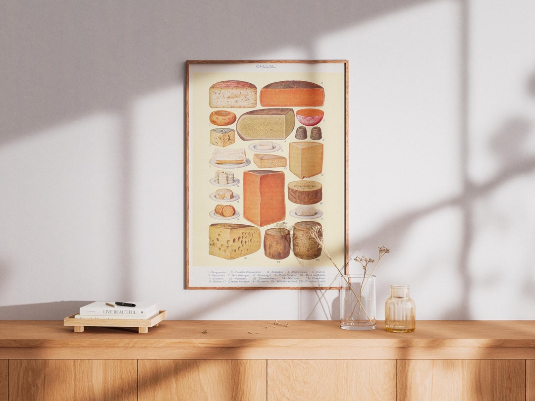 Vintage Cheese Poster Food Art Print French Cheese Illustration Vintage ...