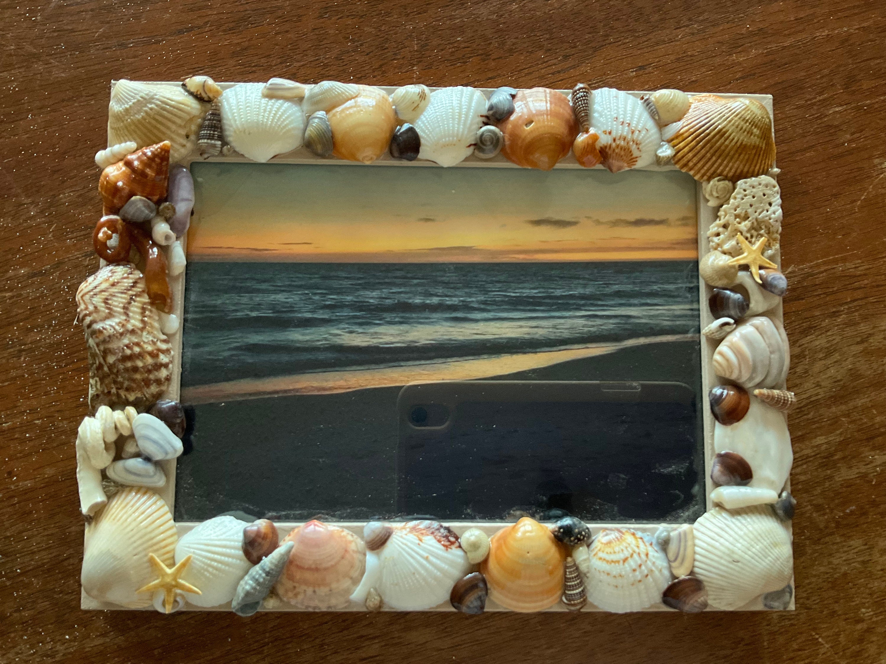 Seashell Frames - Etsy