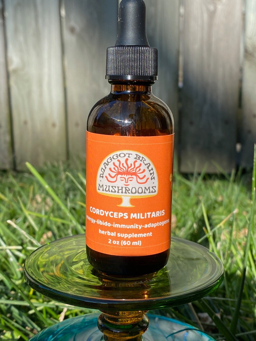 2 Oz Cordyceps Militaris Dual Extract Tincture (fruiting Bodies Only ...