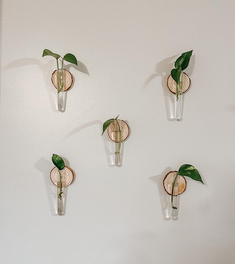 Handcrafted Wood Slice Propagation Station: Wall Hanging Glass Vase - Etsy