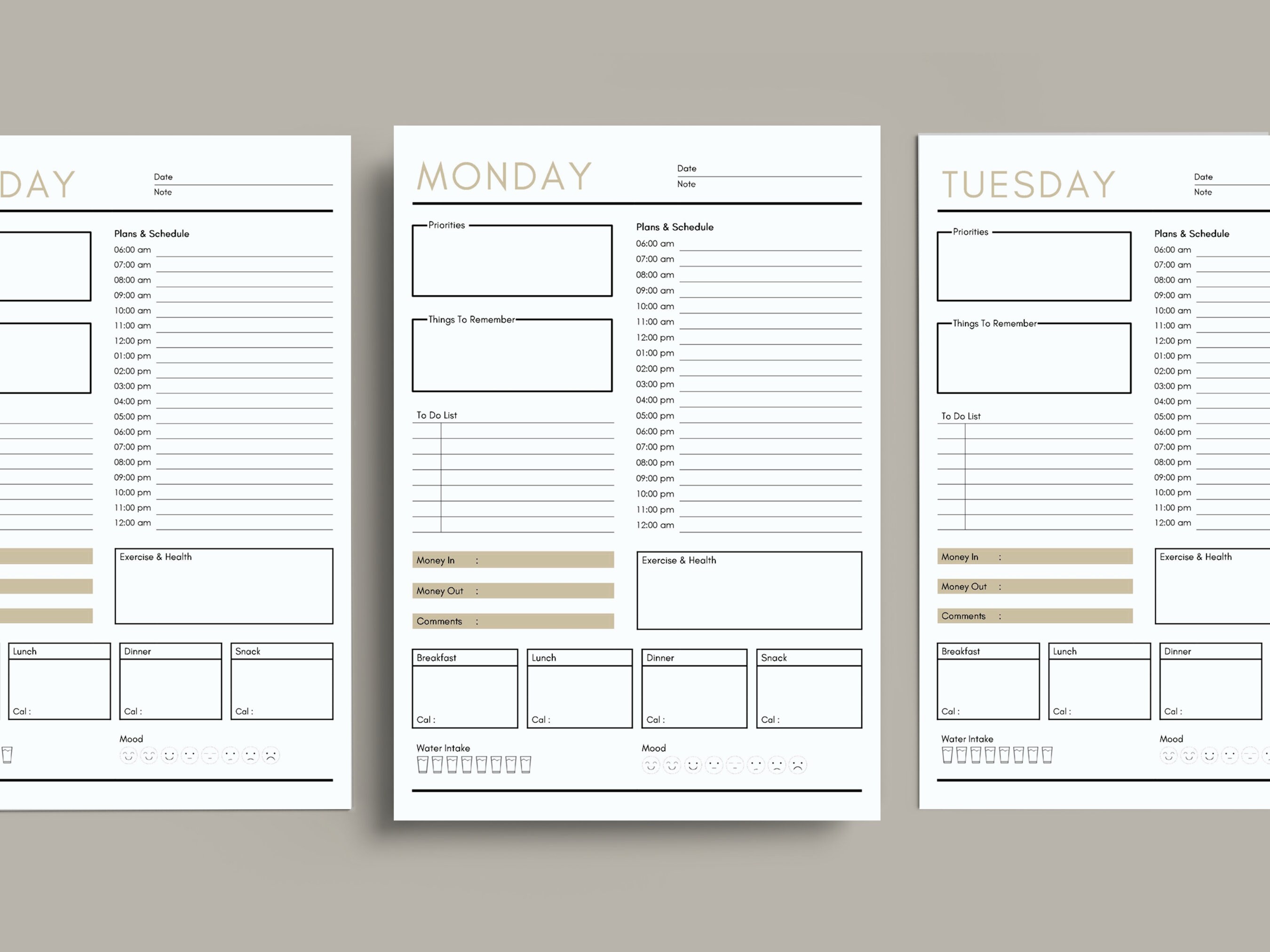 Daily Planner Printable, Hourly Schedule Printable, Hourly Daily ...