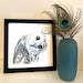 Barn Owl | 8"x8" Art Print of Original Ink Drawing | Animal Art - Etsy