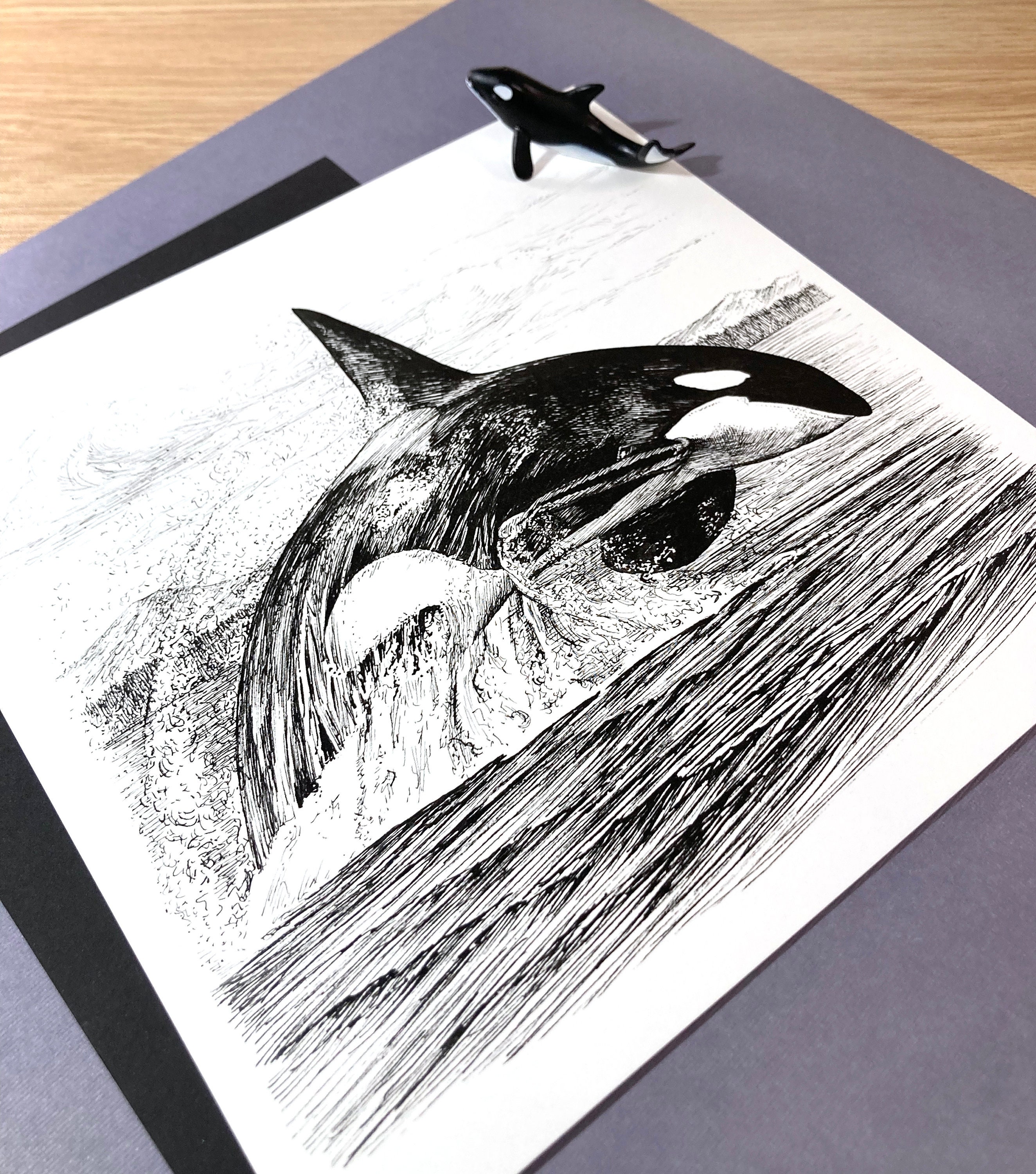 Orca / 8"x8" Art Print of Original Ink Drawing / Animal Art - Etsy