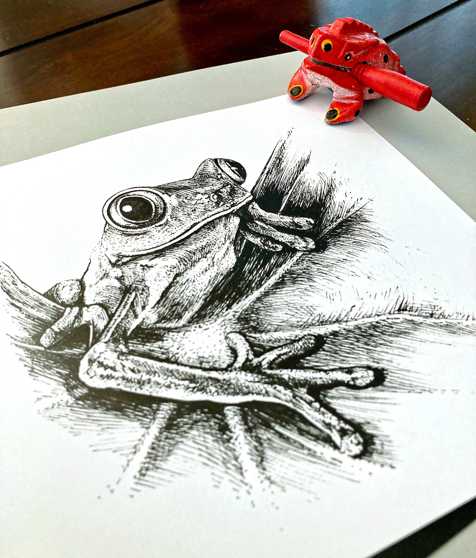 Red-eyed Tree Frog / 8"x8" Art Print of Original Ink Drawing / Animal ...