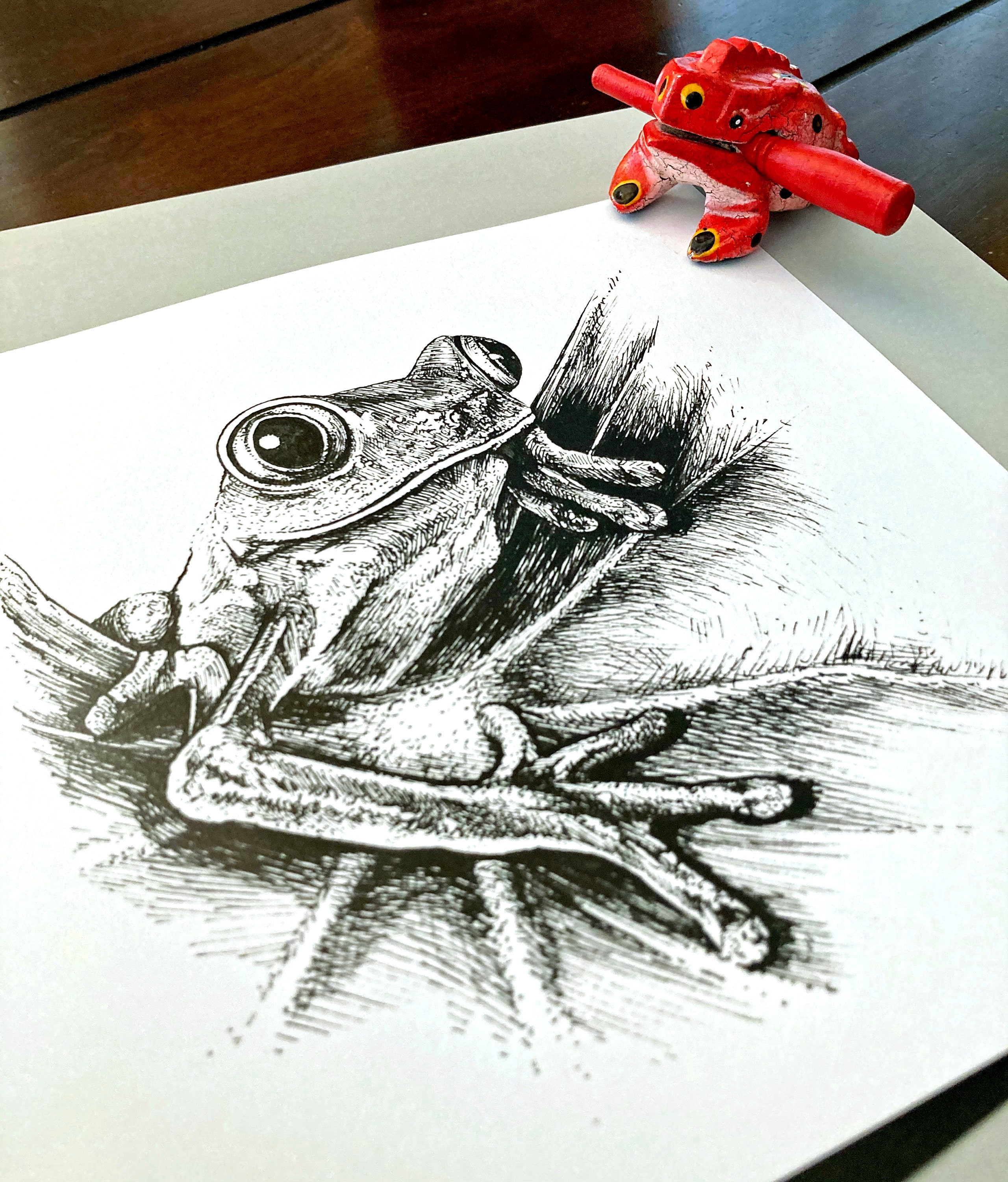 Red-eyed Tree Frog / 8"x8" Art Print of Original Ink Drawing / Animal ...