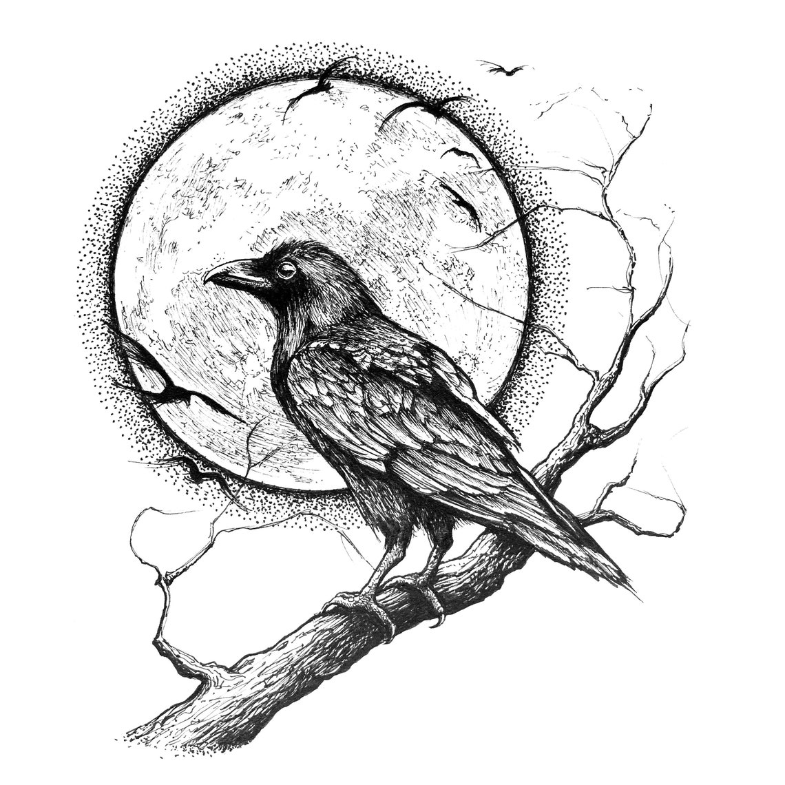 Raven and Full Moon / 8"x8" Art Print of Original Ink Drawing - Etsy