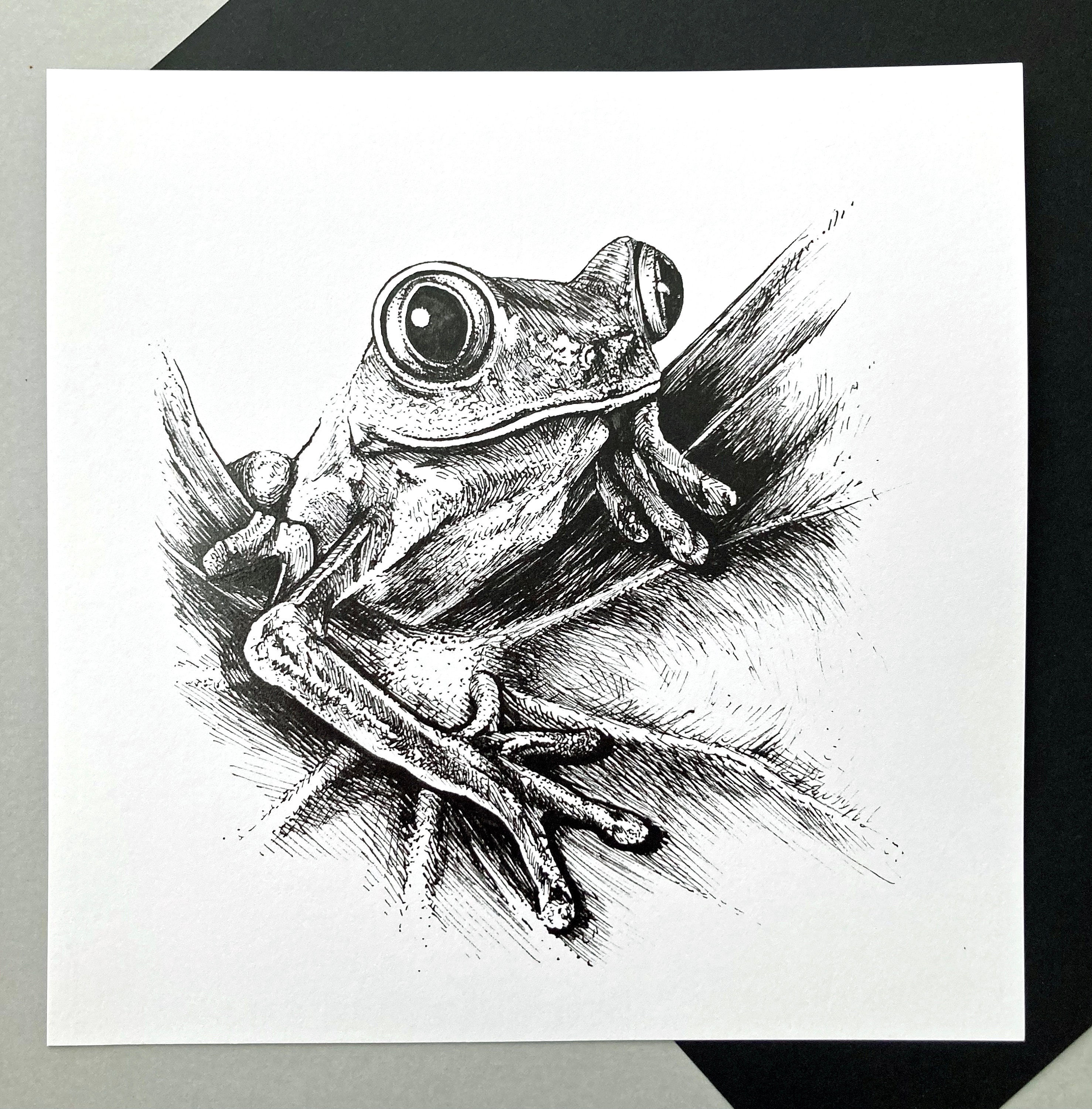 How To Draw A Realistic Tree Frog