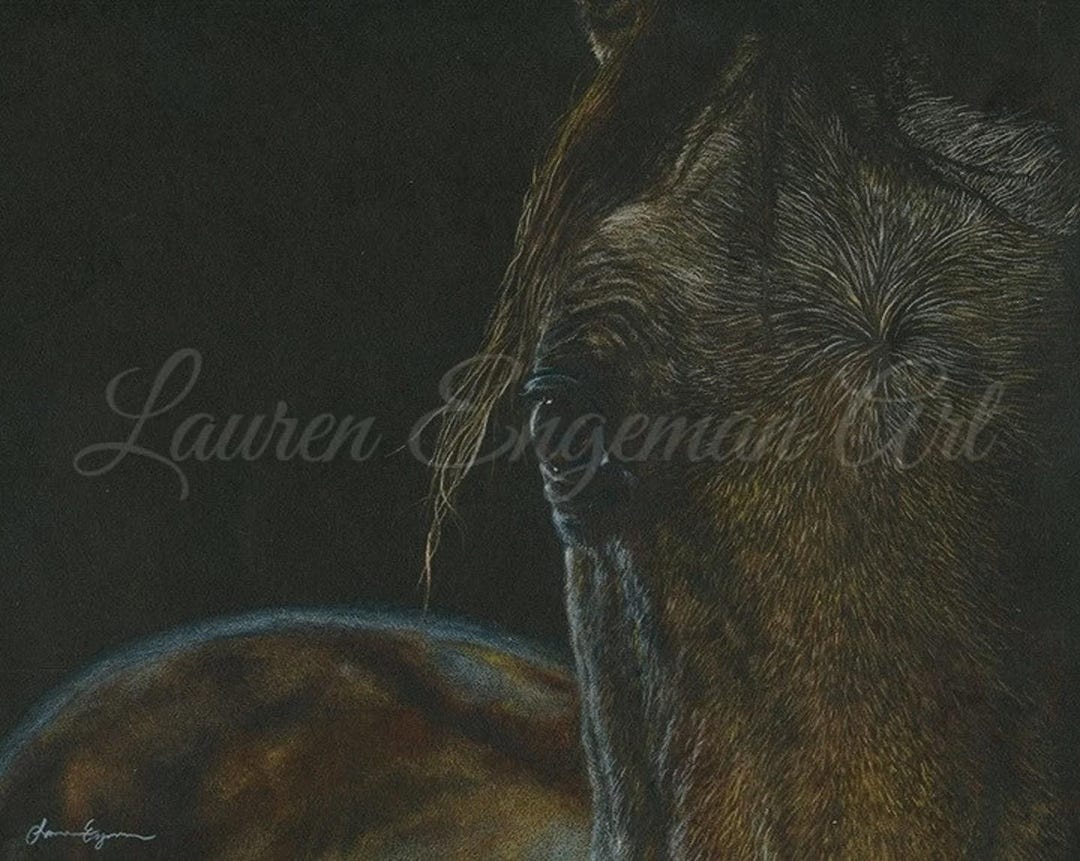 Ari Gold Original Framed Horse Colored Pencil Drawing - Etsy