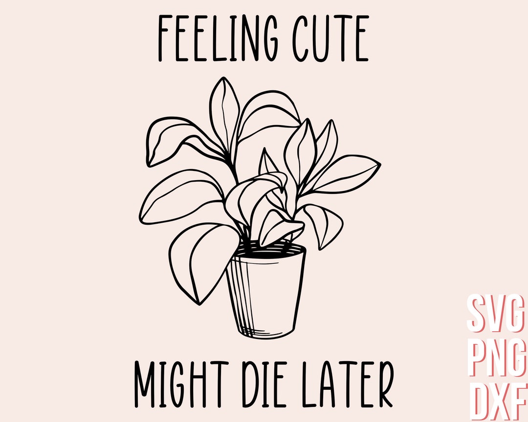 Feeling Cute Might Die Later SVG PNG and DXF Digital Download for ...