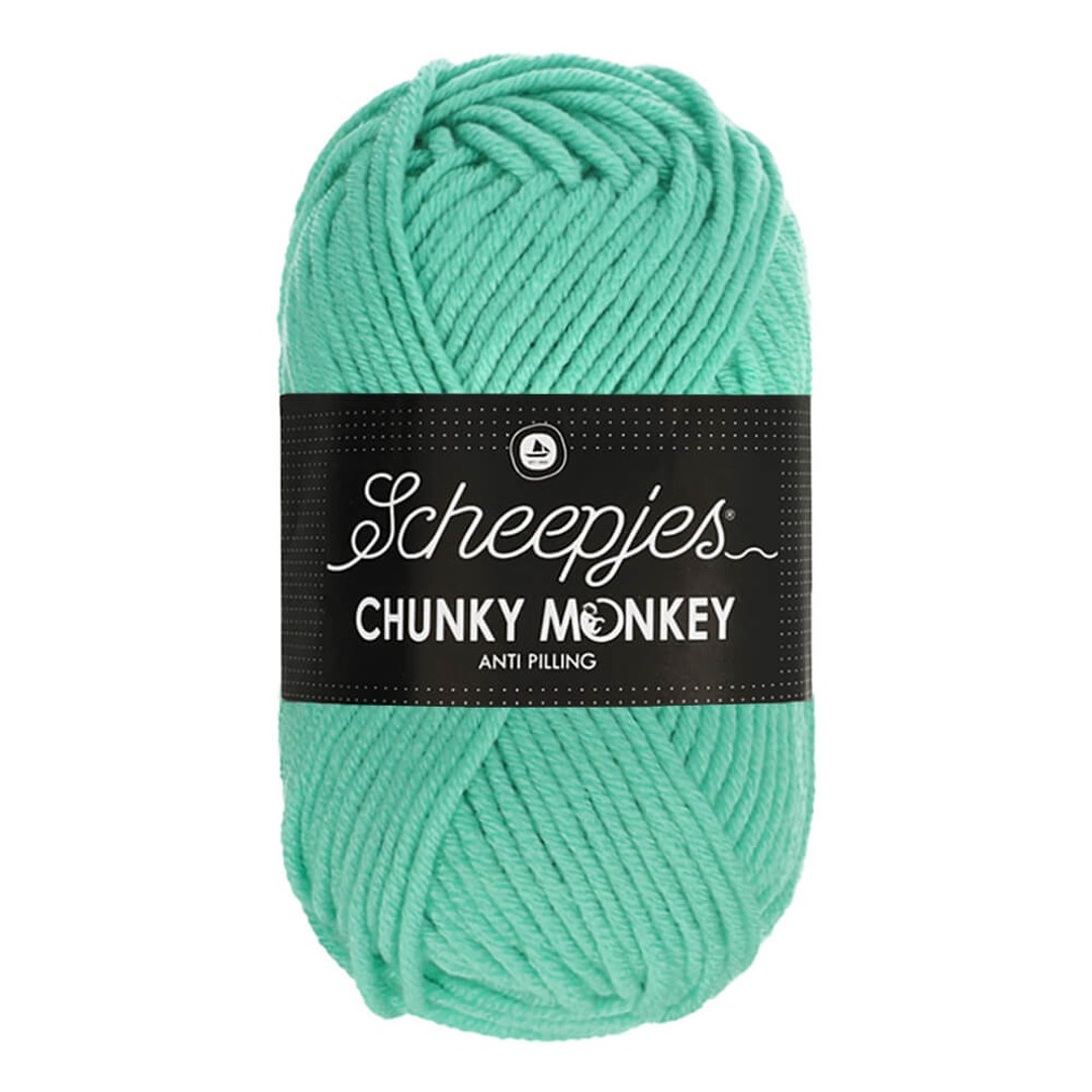 Scheepjes Chunky Monkey Green Yarn 100g 1422 Aqua - Etsy