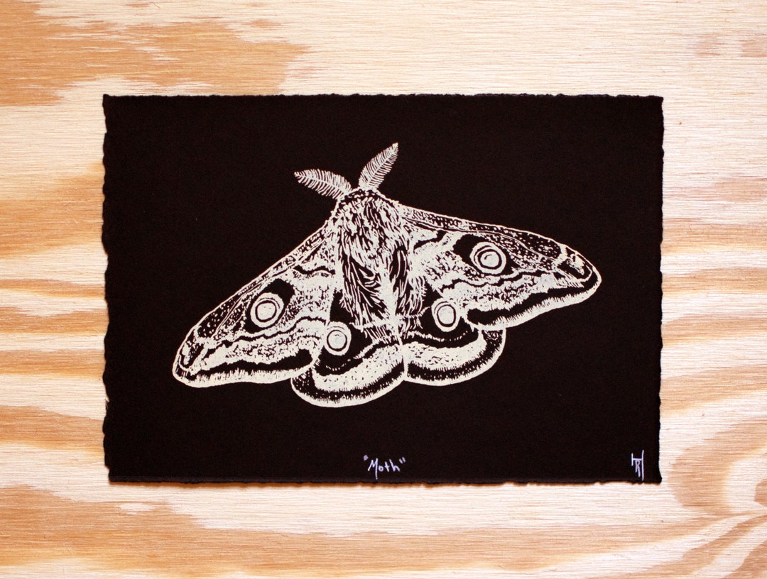 Moth Hand-pulled Screenprint Emperor Gum Moth Color Options - Etsy