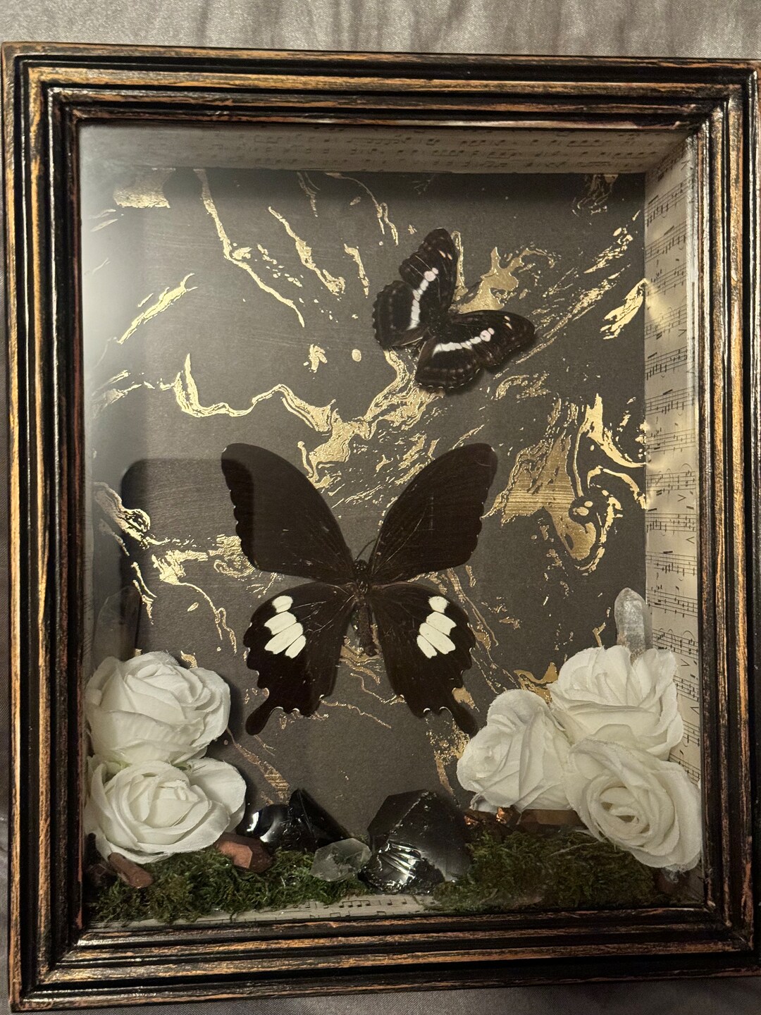 Butterfly and Crystal Shadow Box Display Statement Piece Oddity - Etsy