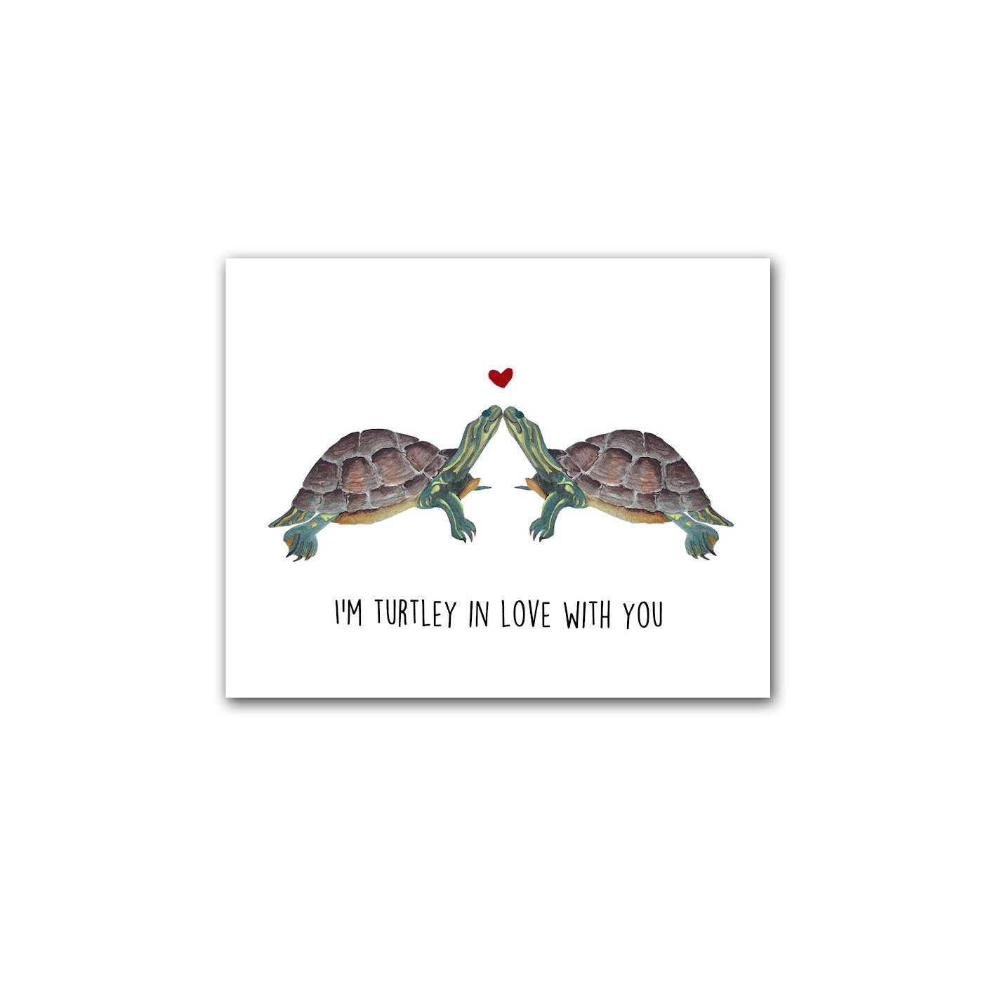 Cute Turtles In Love